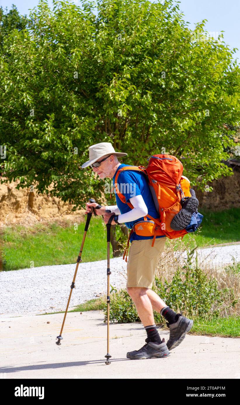 Pilgrims backpacking walking the long distance Spanish Camino de ...