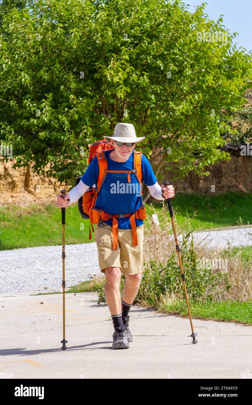 Pilgrims backpacking walking the long distance Spanish Camino de ...