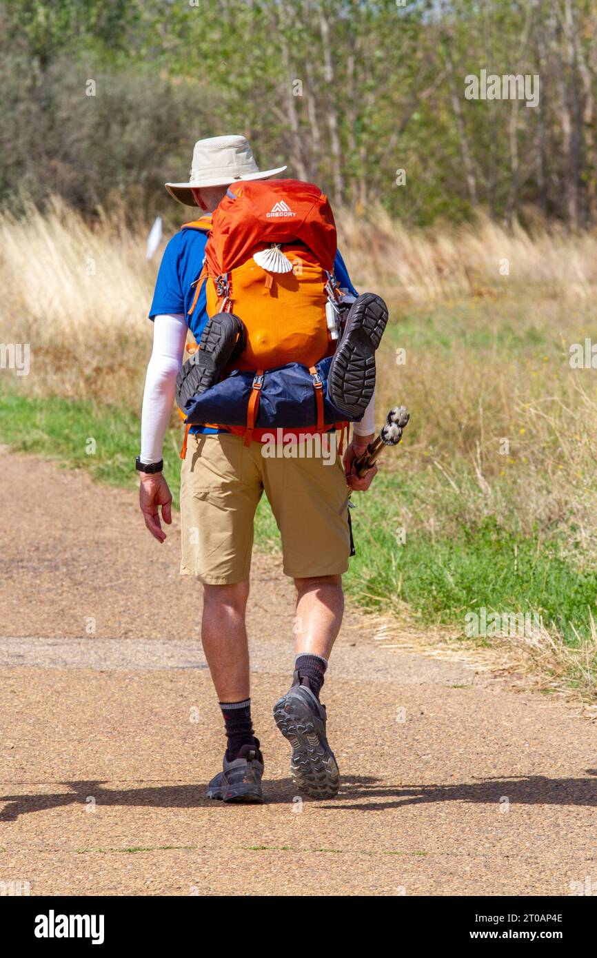 Pilgrims backpacking walking the long distance Spanish Camino de ...