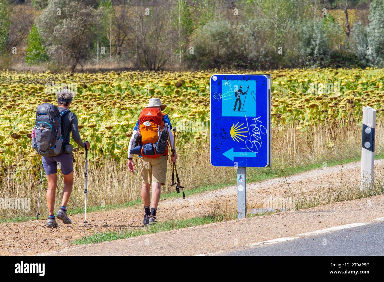 Pilgrims backpacking walking the long distance Spanish Camino de ...