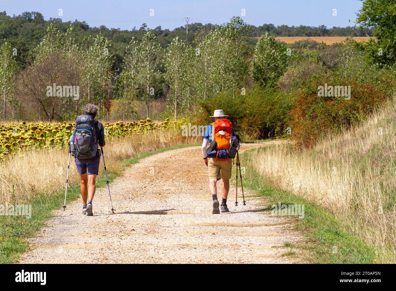 Pilgrims backpacking walking the long distance Spanish Camino de ...
