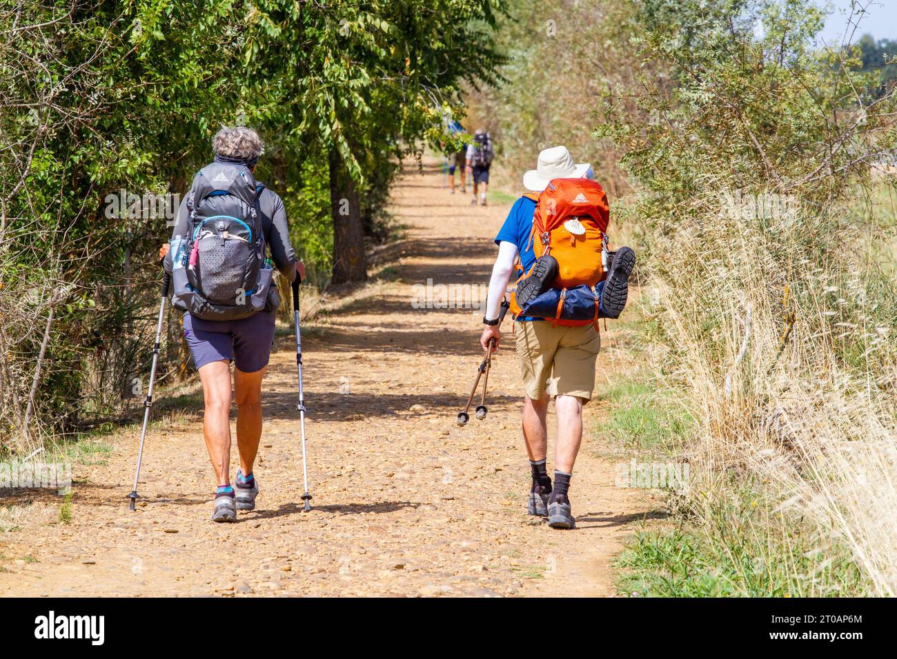 Pilgrims backpacking walking the long distance Spanish Camino de ...