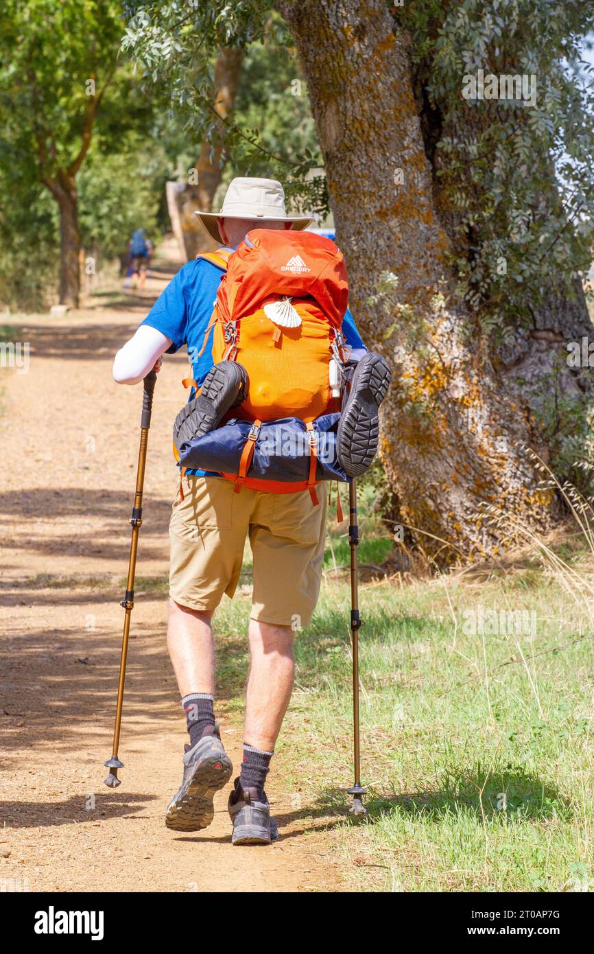 Pilgrims backpacking walking the long distance Spanish Camino de ...