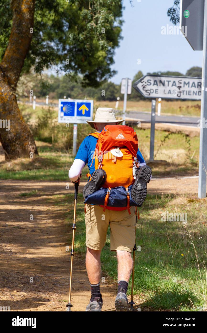 Pilgrims backpacking walking the long distance Spanish Camino de ...