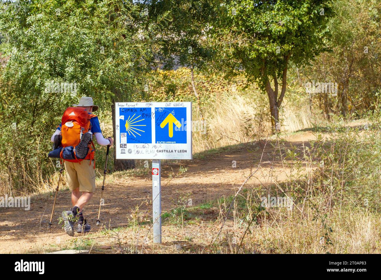Pilgrims backpacking walking the long distance Spanish Camino de ...