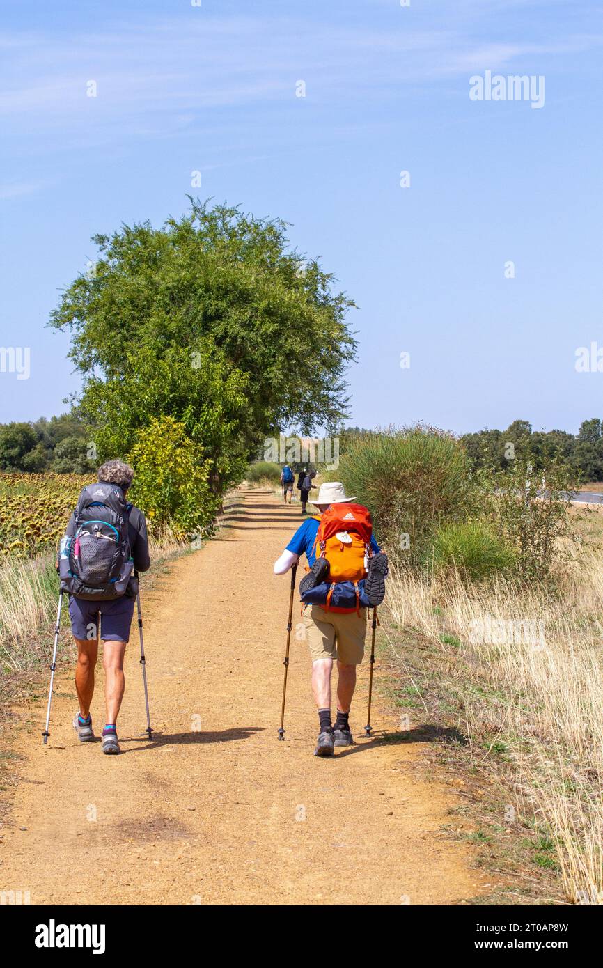 Pilgrims backpacking walking the long distance Spanish Camino de ...