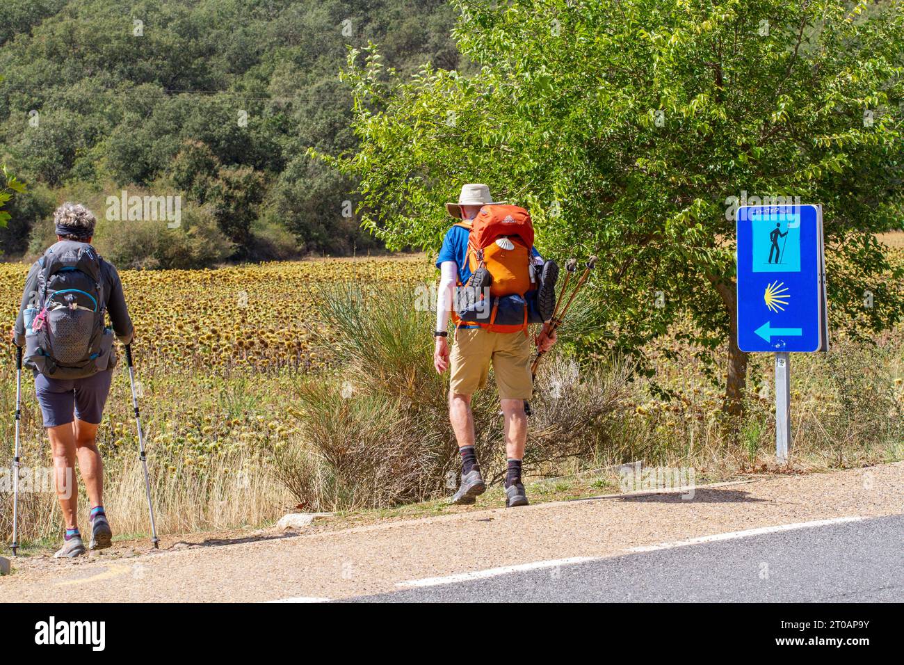 Pilgrims backpacking walking the long distance Spanish Camino de ...