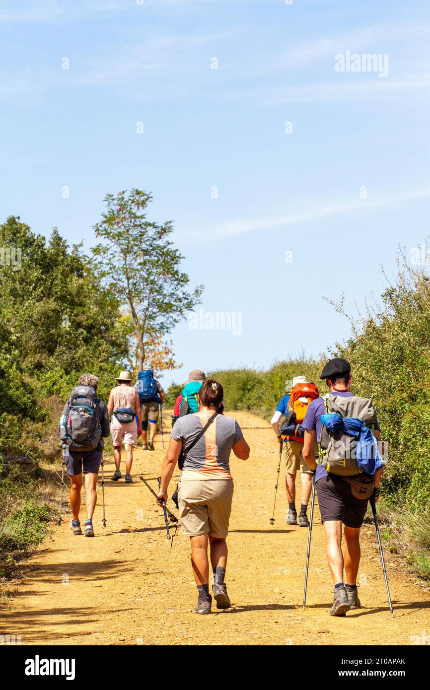 Pilgrims backpacking walking the long distance Spanish Camino de ...