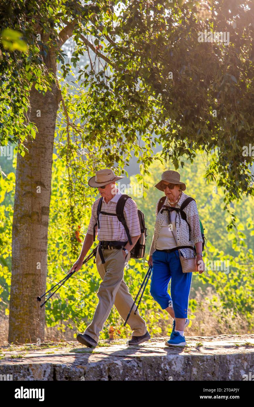 Pilgrims backpacking walking the long distance Spanish Camino de ...