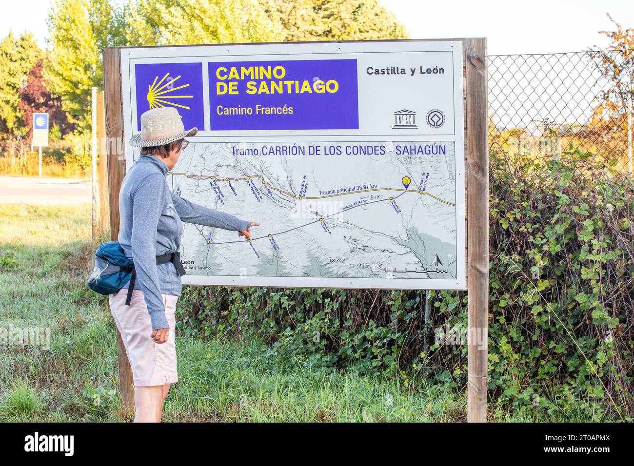 Pilgrims backpacking walking the long distance Spanish Camino de ...