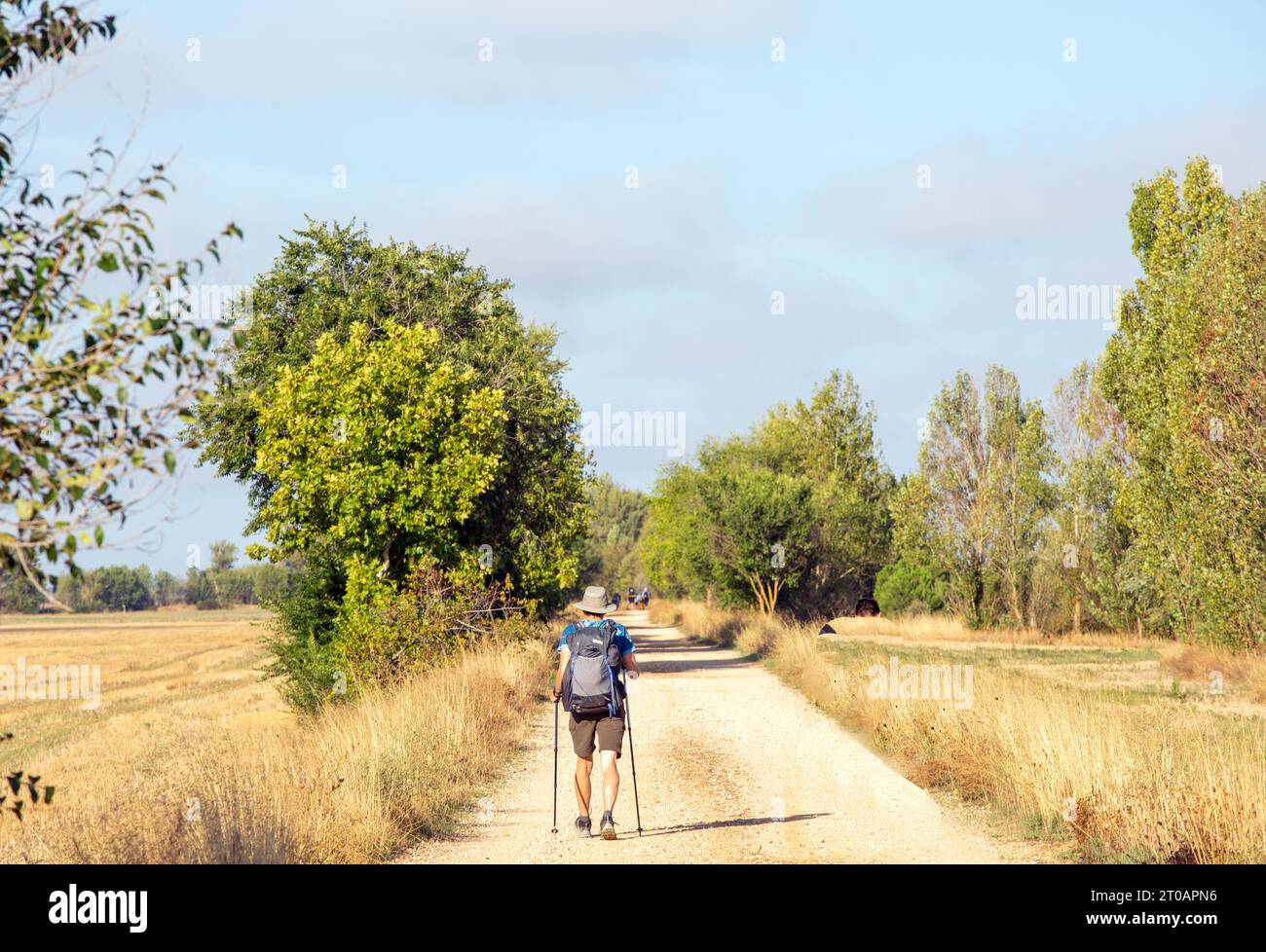 Pilgrims backpacking walking the long distance Spanish Camino de ...