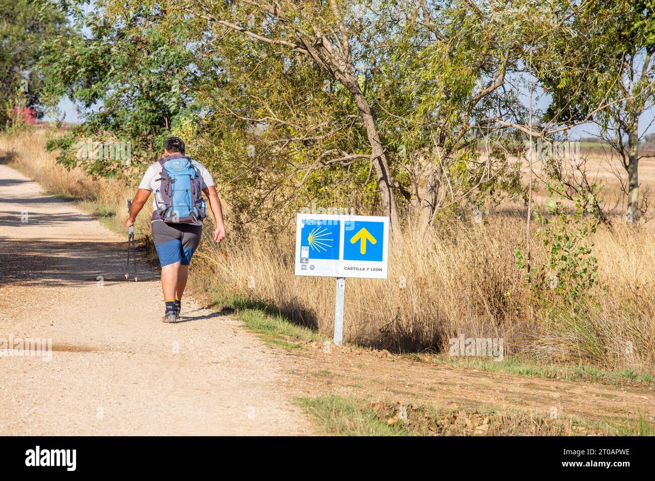 Pilgrims backpacking walking the long distance Spanish Camino de ...