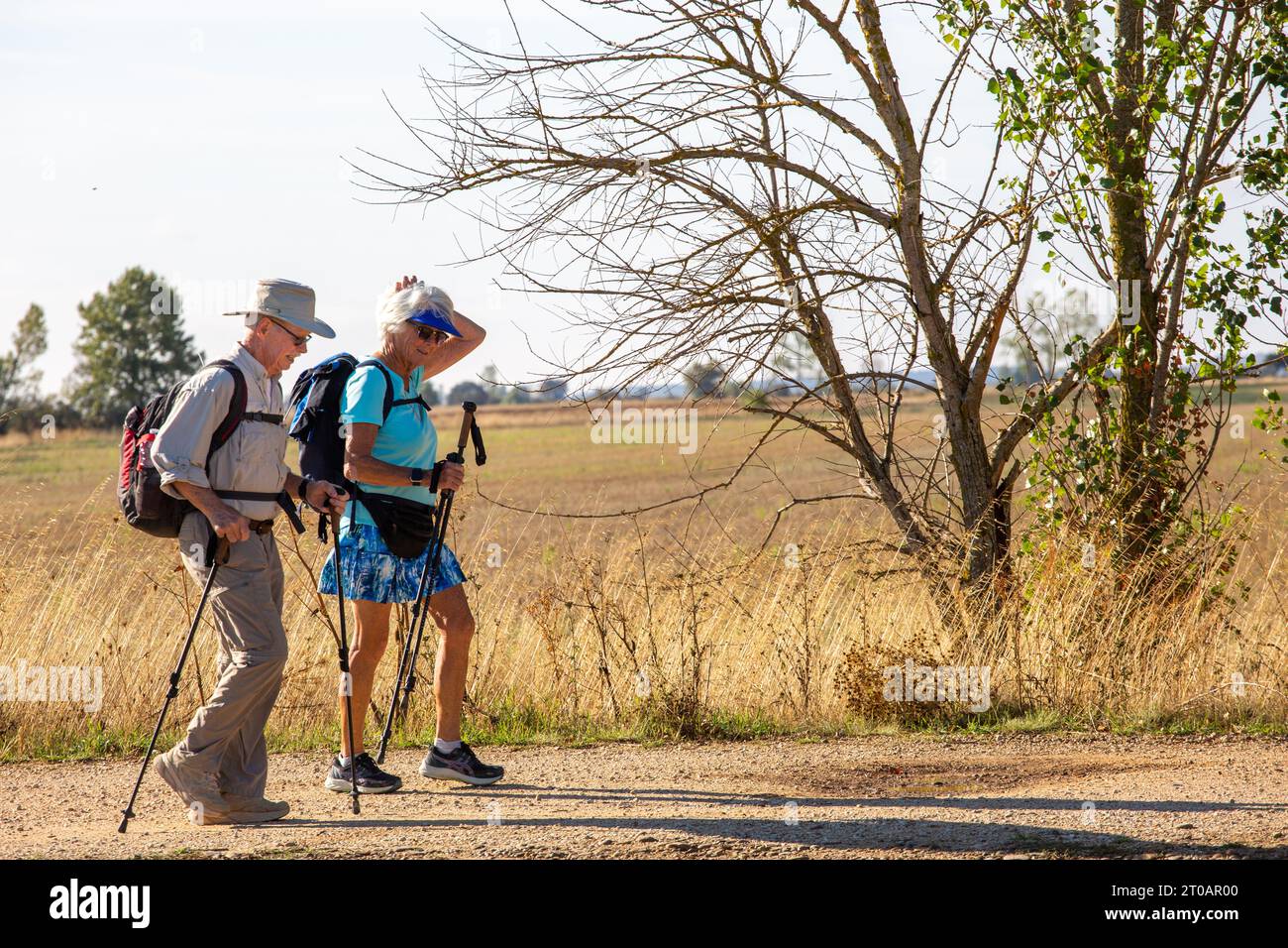 Pilgrims backpacking walking the long distance Spanish Camino de ...