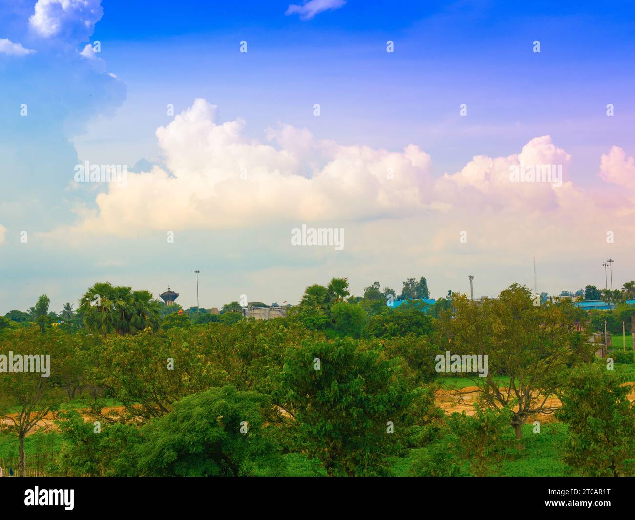 Blue natural sky and beautiful cloud with meadow tree. Plain landscape ...
