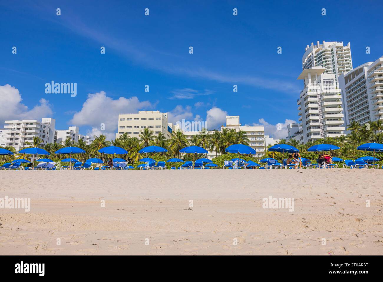 View of Miami's sandy beach with blue sunbeds and umbrellas, set ...