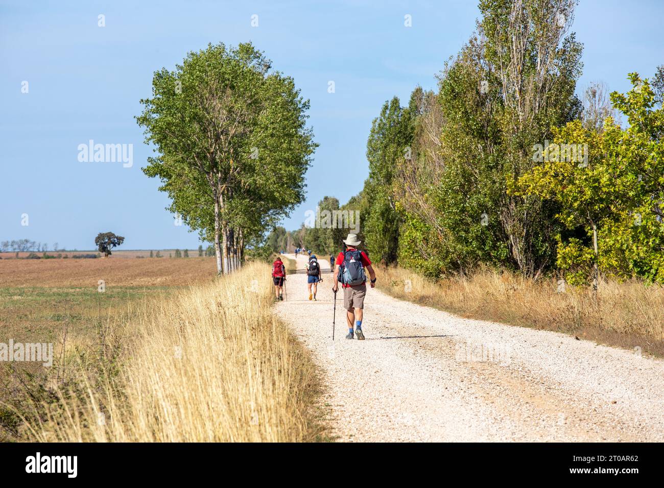 Pilgrims backpacking walking the long distance Spanish Camino de ...