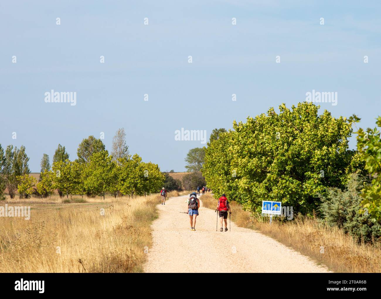 Pilgrims backpacking walking the long distance Spanish Camino de ...