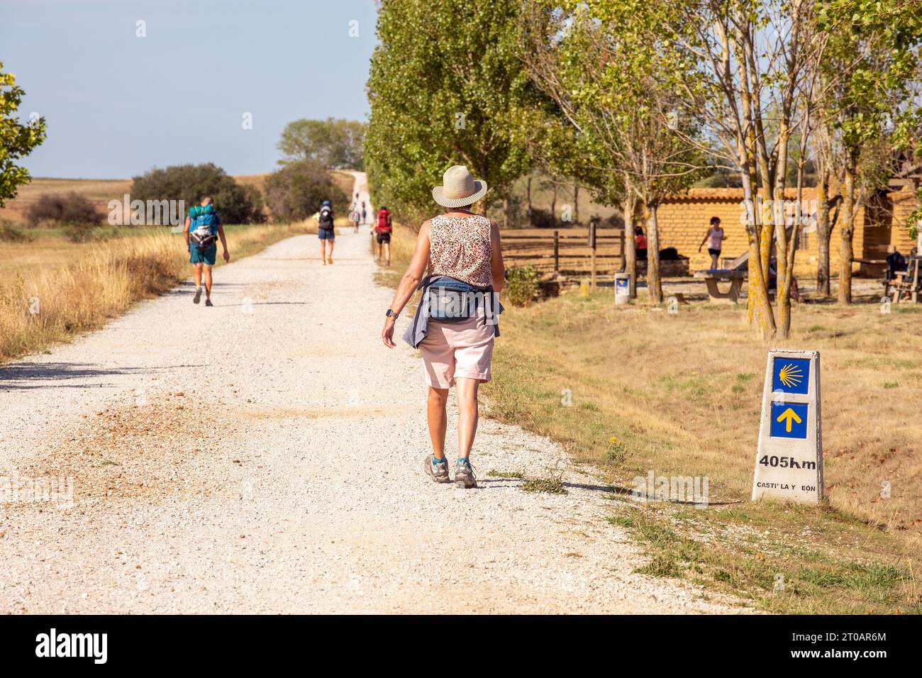Pilgrims backpacking walking the long distance Spanish Camino de ...