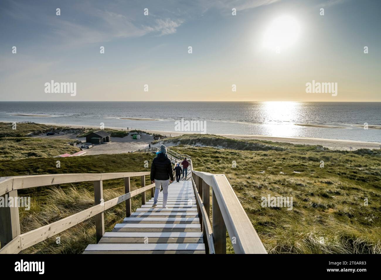Holztreppe, Aussichtdüne am Lister Weststrand, List, Sylt, Schleswig ...