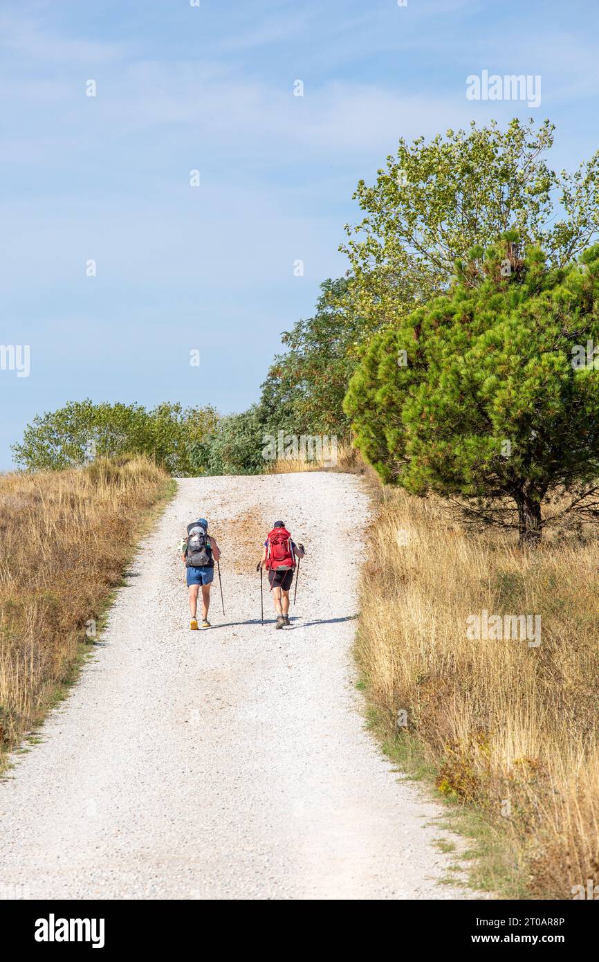Pilgrims backpacking walking the long distance Spanish Camino de ...