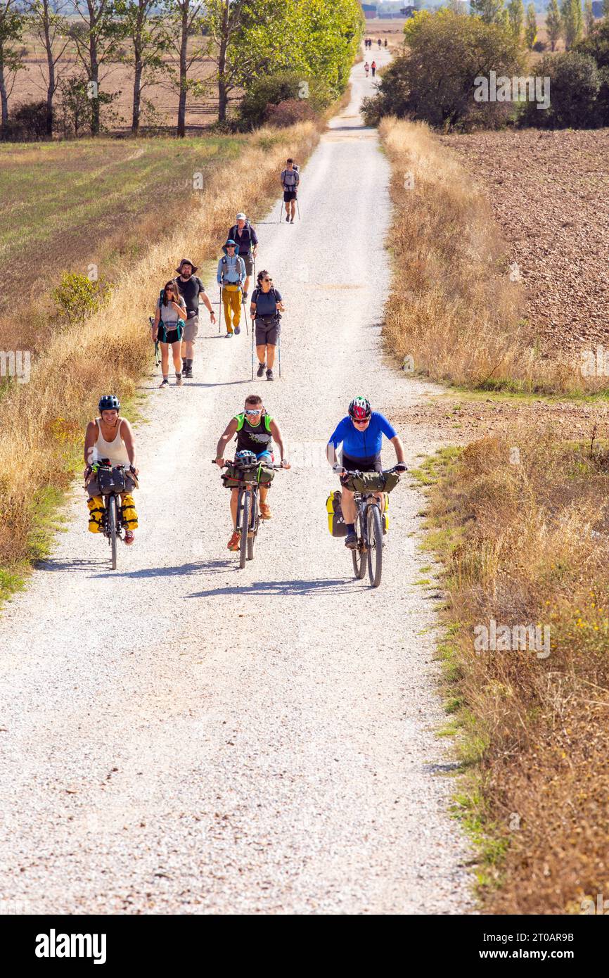 Pilgrims cycling riding the long distance Spanish Camino de Santiago ...
