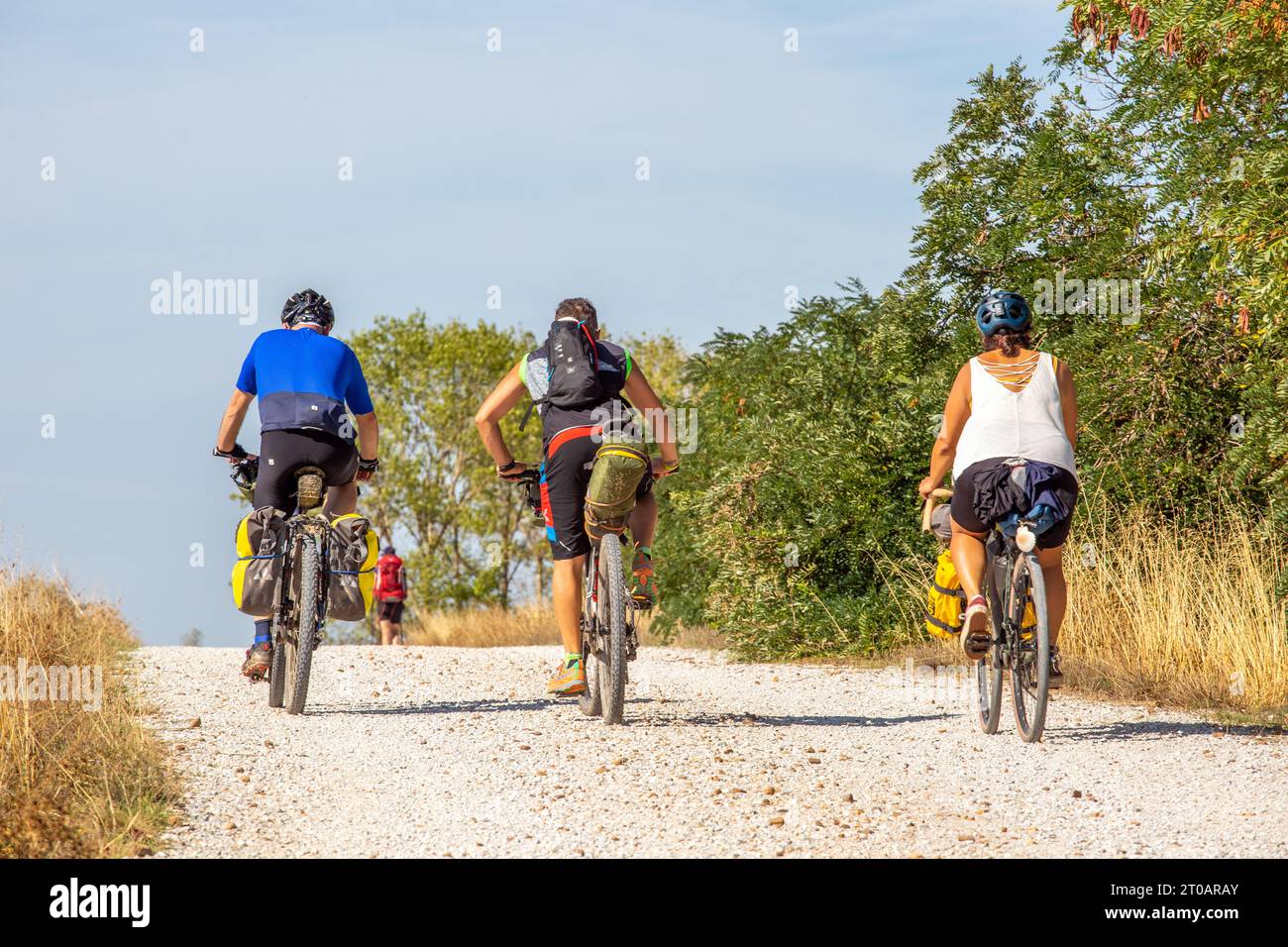 Pilgrims cycling riding the long distance Spanish Camino de Santiago ...