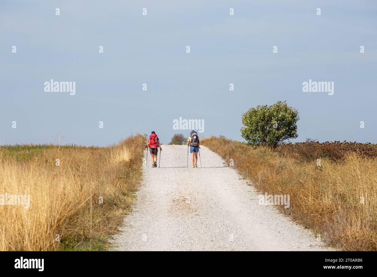 Pilgrims backpacking walking the long distance Spanish Camino de ...