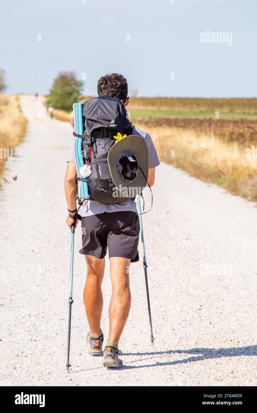 Pilgrims backpacking walking the long distance Spanish Camino de ...