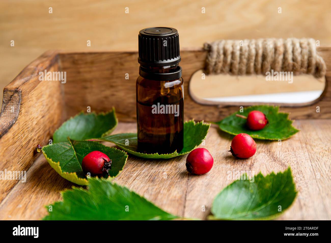 Common hawthorn oil hi-res stock photography and images - Alamy