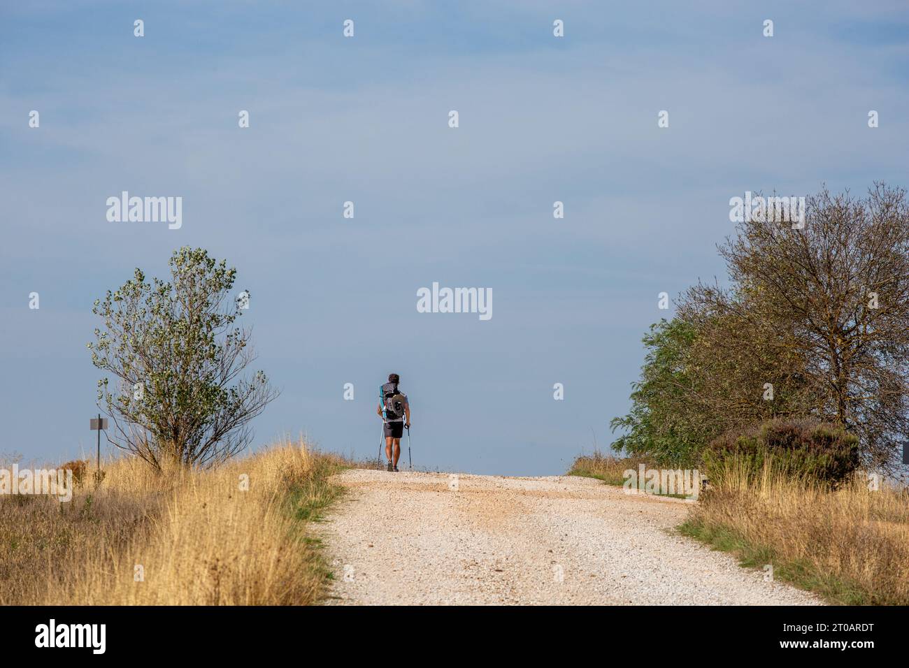 Pilgrims backpacking walking the long distance Spanish Camino de ...