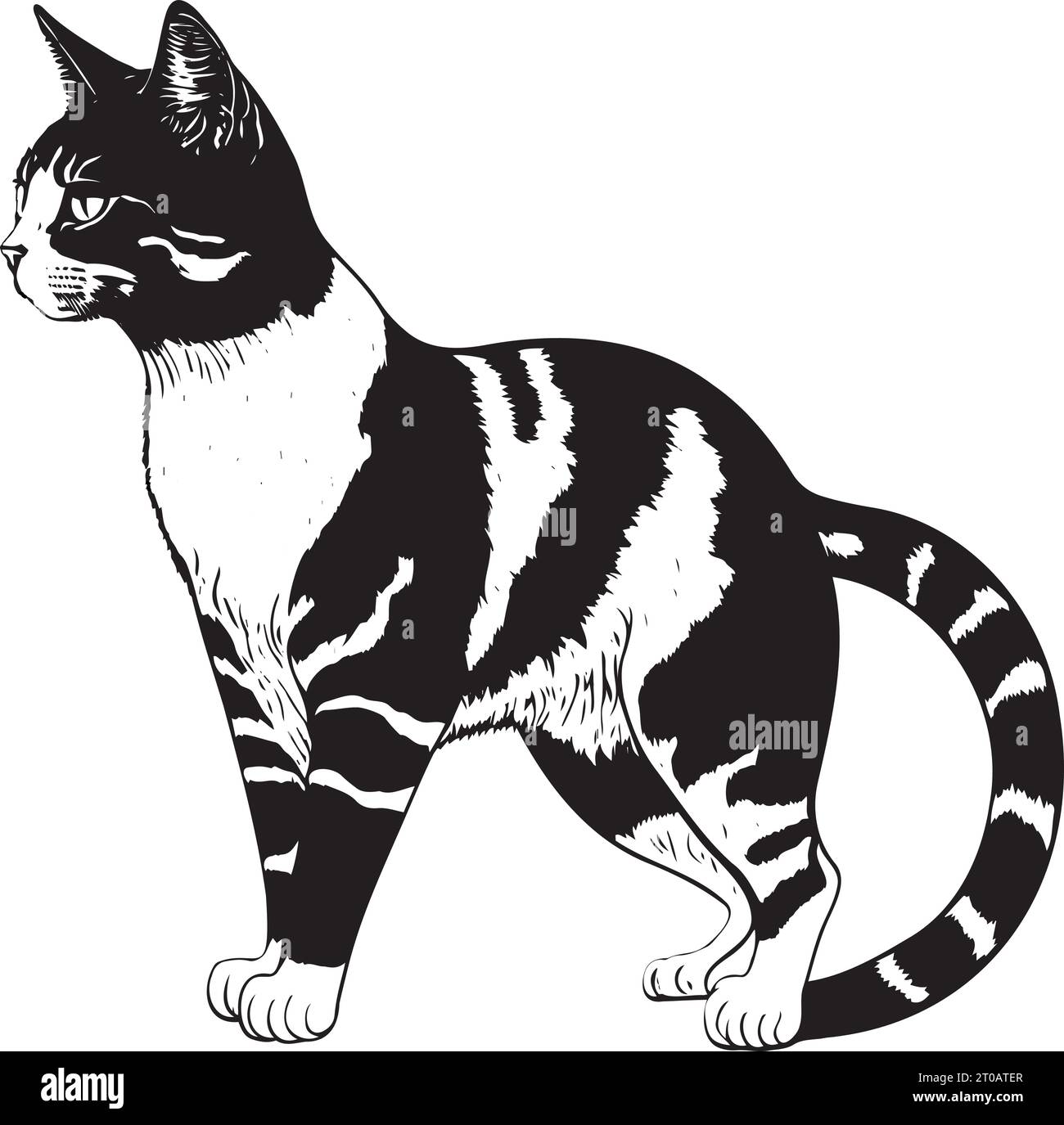 Grumpy Cat Outline No