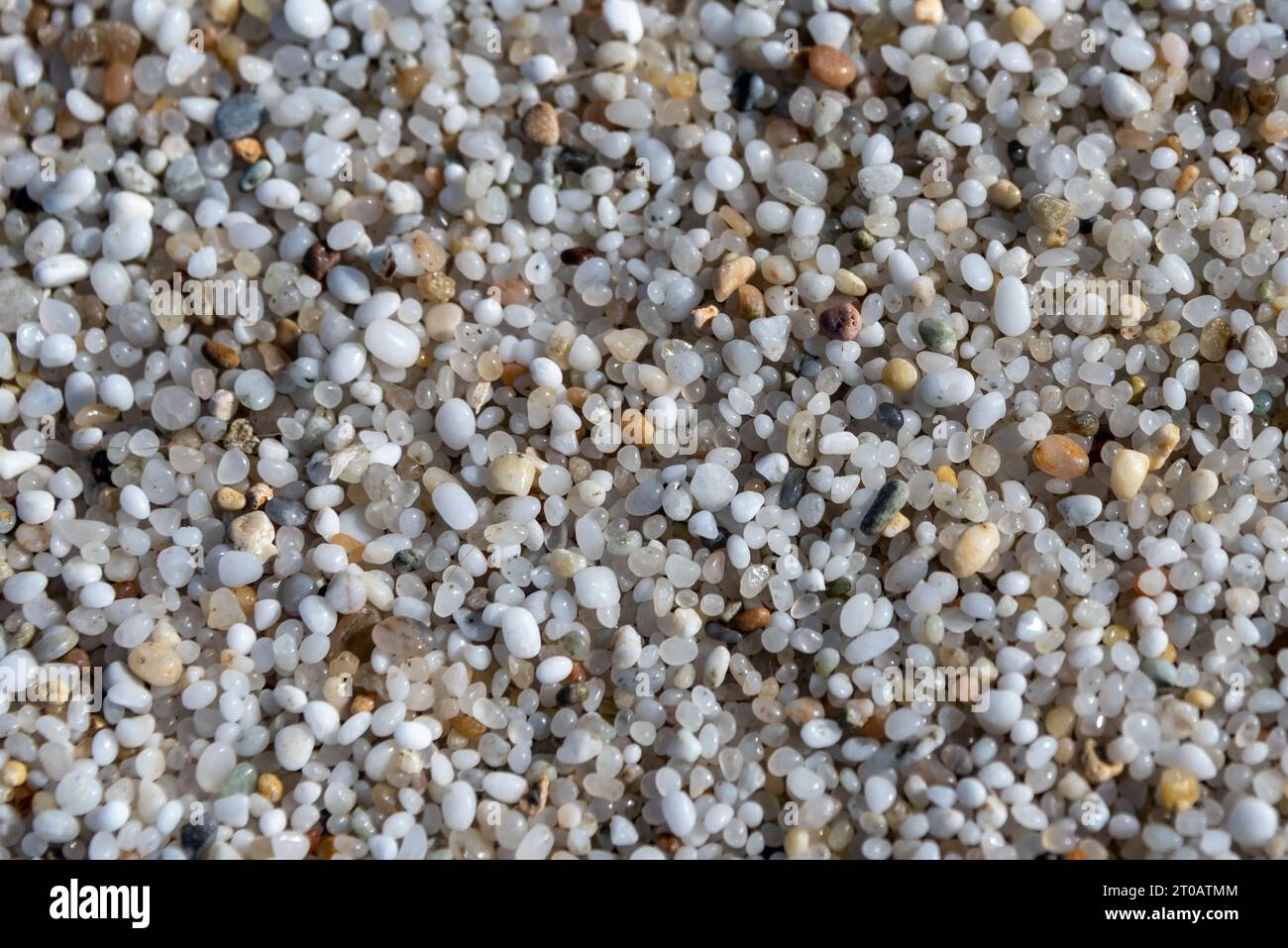 Small white pebbles hi-res stock photography and images - Alamy