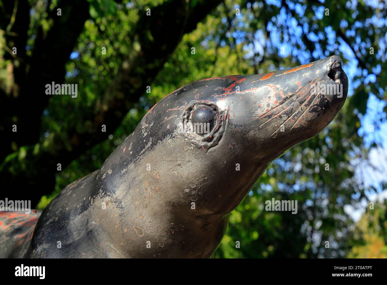 Seal statue, wales hi-res stock photography and images - Alamy