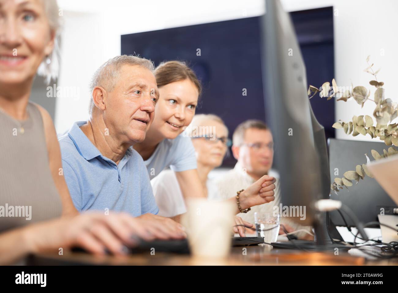 Woman teacher helping elderly people learn how to use computer Stock ...