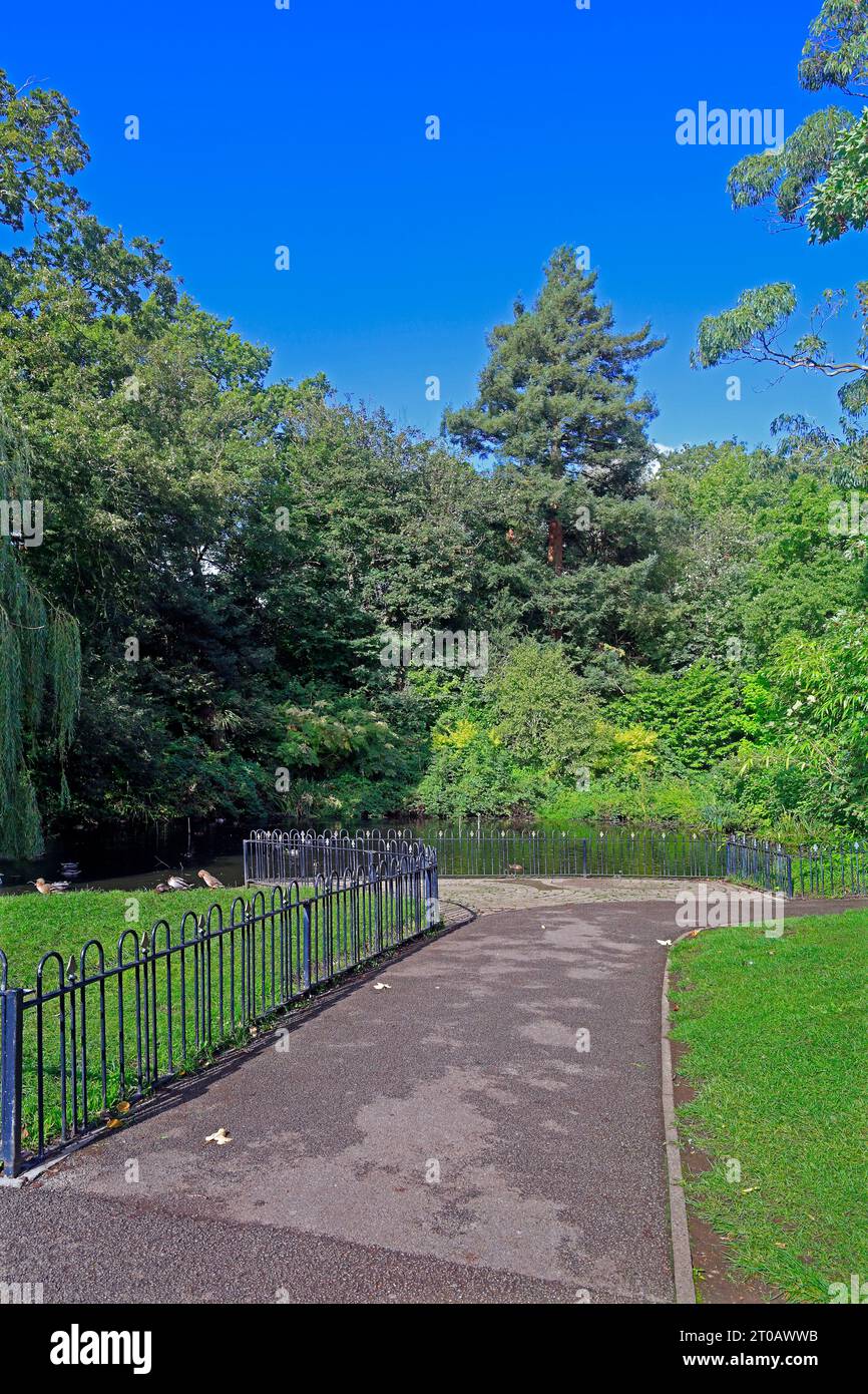 The duck pond, Thompson's Park, Cardiff. Taken October 2023 Stock Photo ...