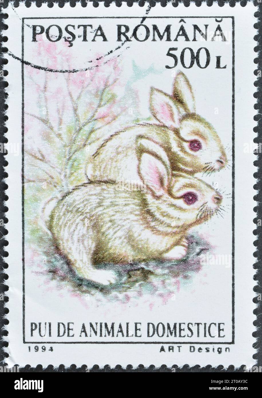 Cancelled postage stamp printed by Romania, that shows Domestic Rabbit ...