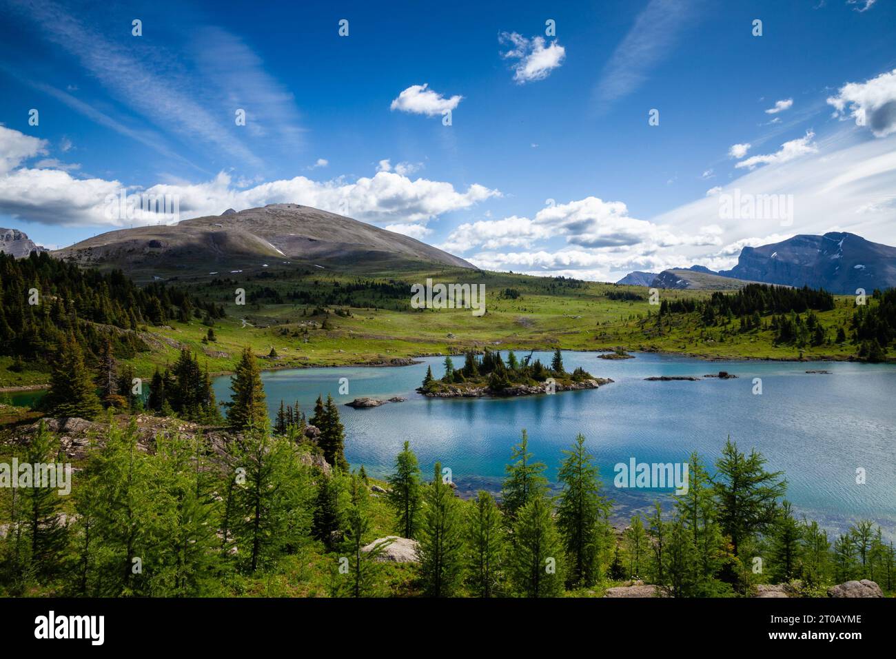 Sunshine Meadows, Banff National Park, Alberta Canada Stock Photo - Alamy