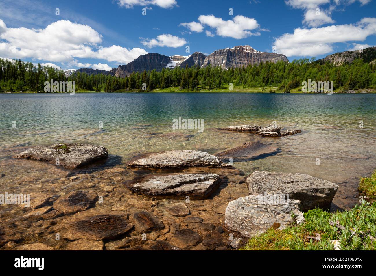 Sunshine Meadows, Banff National Park, Alberta Canada Stock Photo - Alamy
