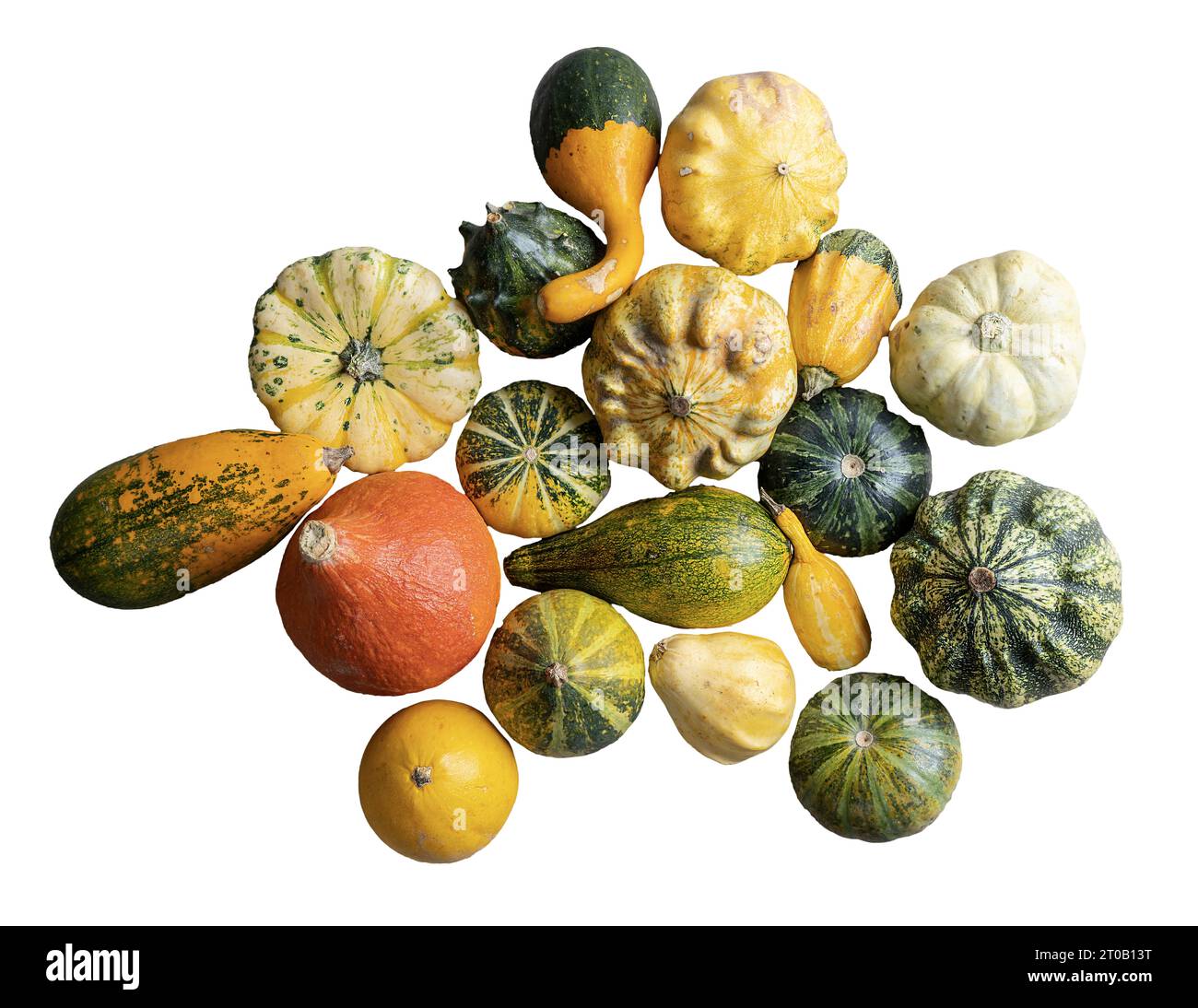 Some small pumpkins on a transparent background Stock Photo - Alamy