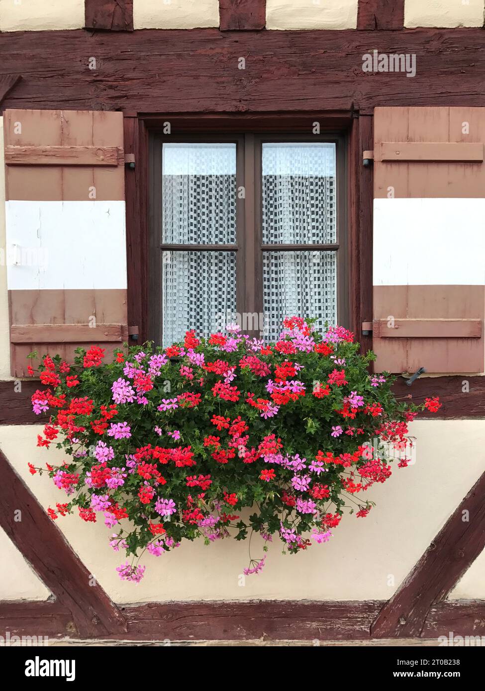 A white window frame with red and pink flowers growing out of it ...