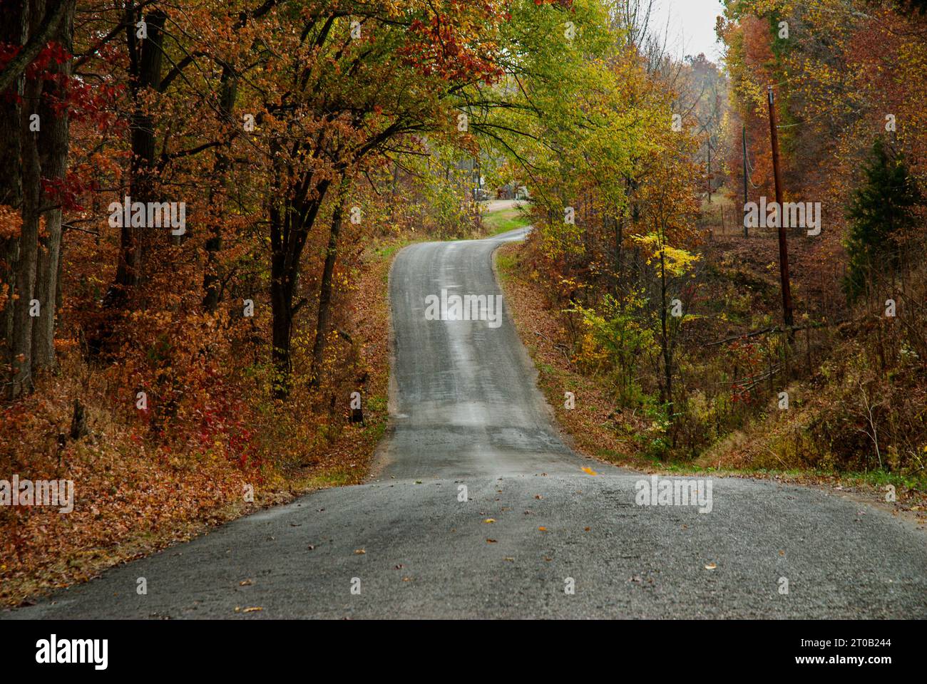 winding road with fall colors Stock Photo - Alamy