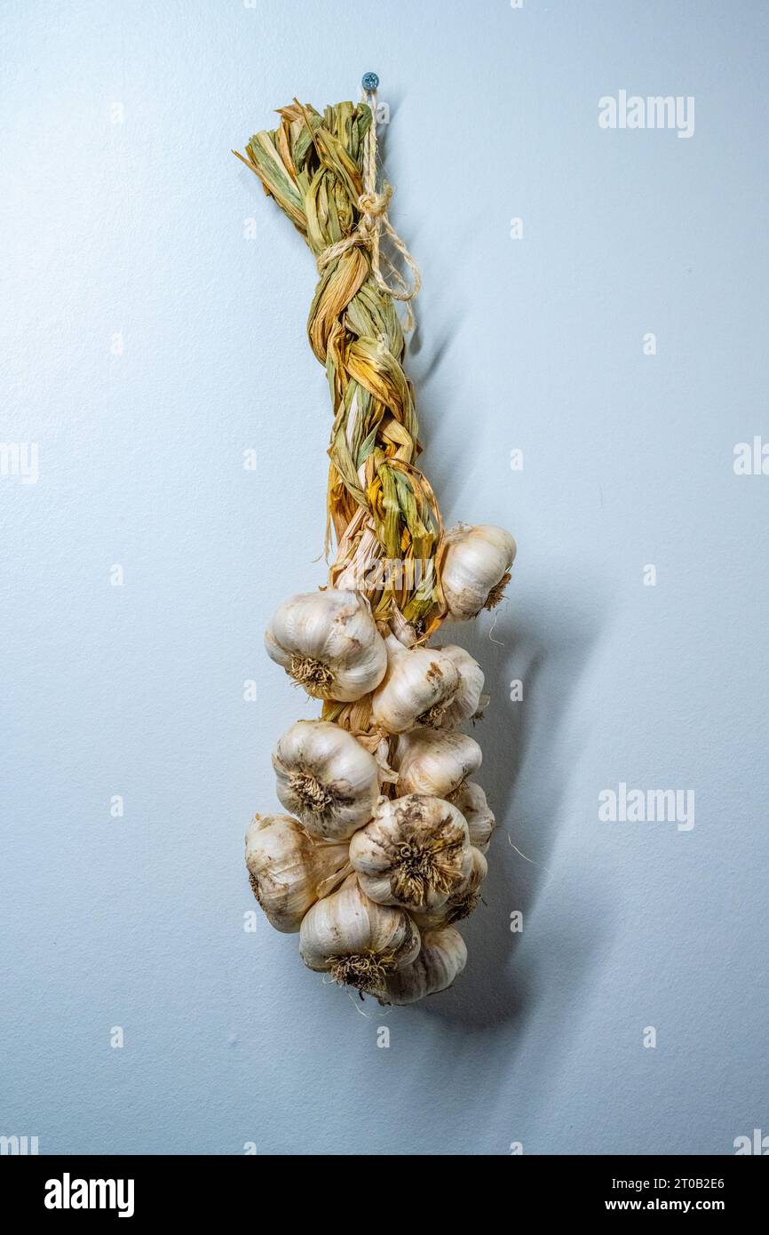 Bunch of garlic hanging on a wall Stock Photo - Alamy