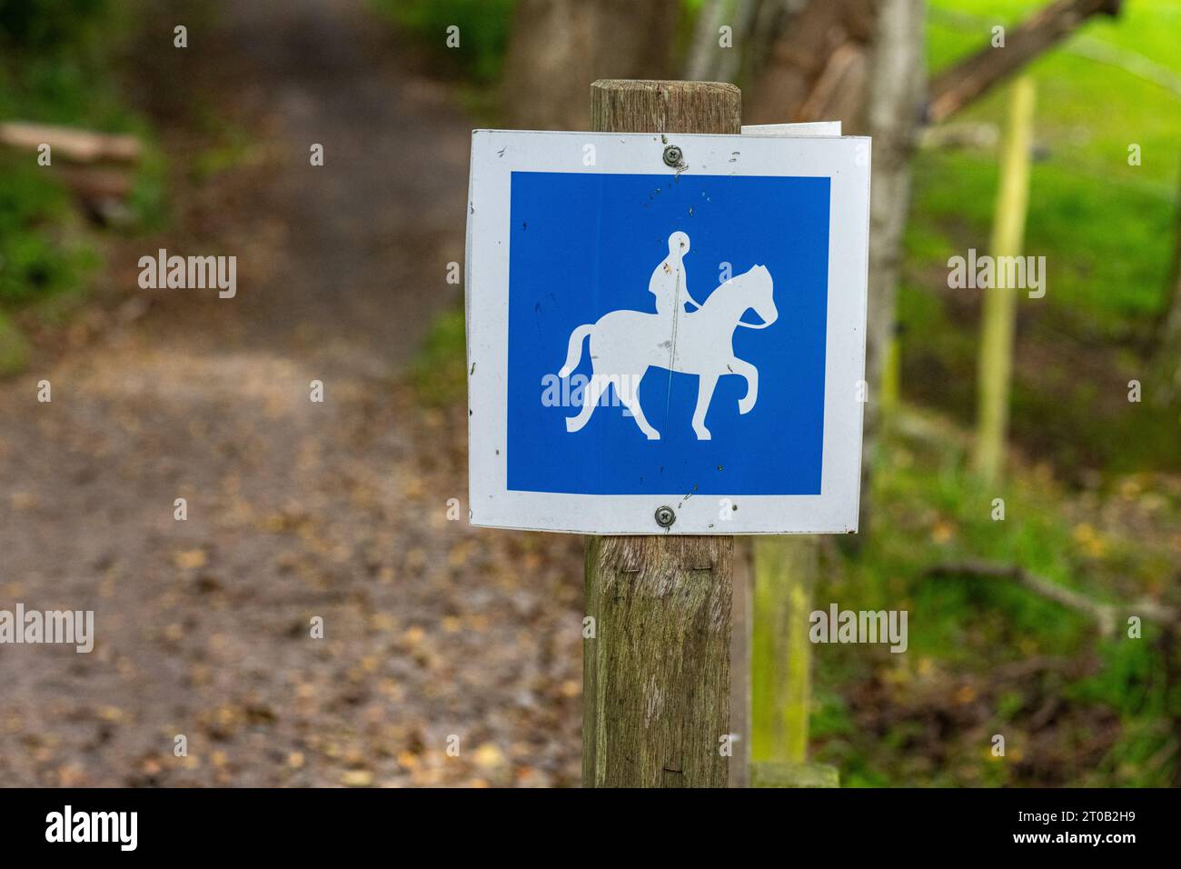 Horse riding path sign by a road Stock Photo - Alamy