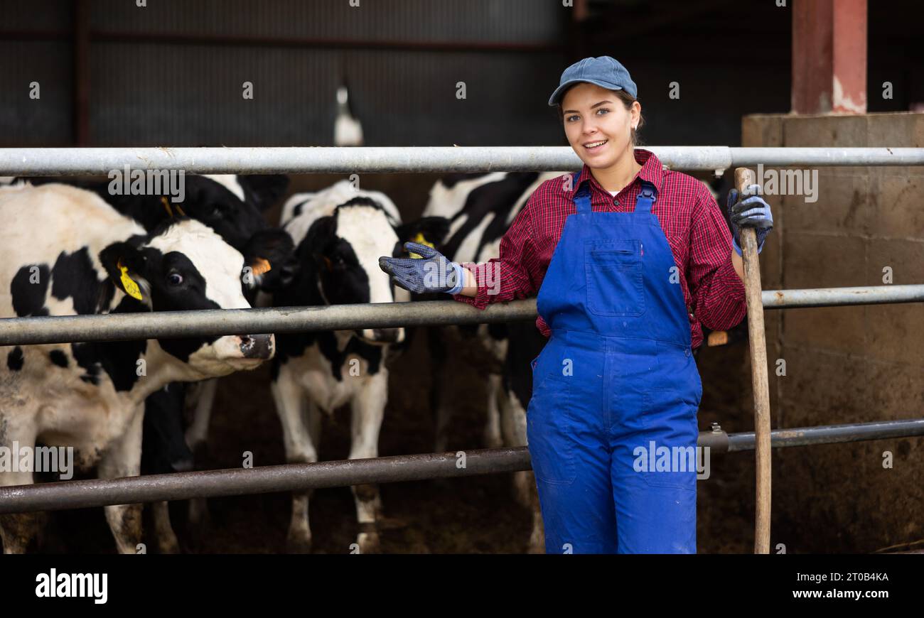 Young female farmer posing while feeding cows at farm Stock Photo - Alamy