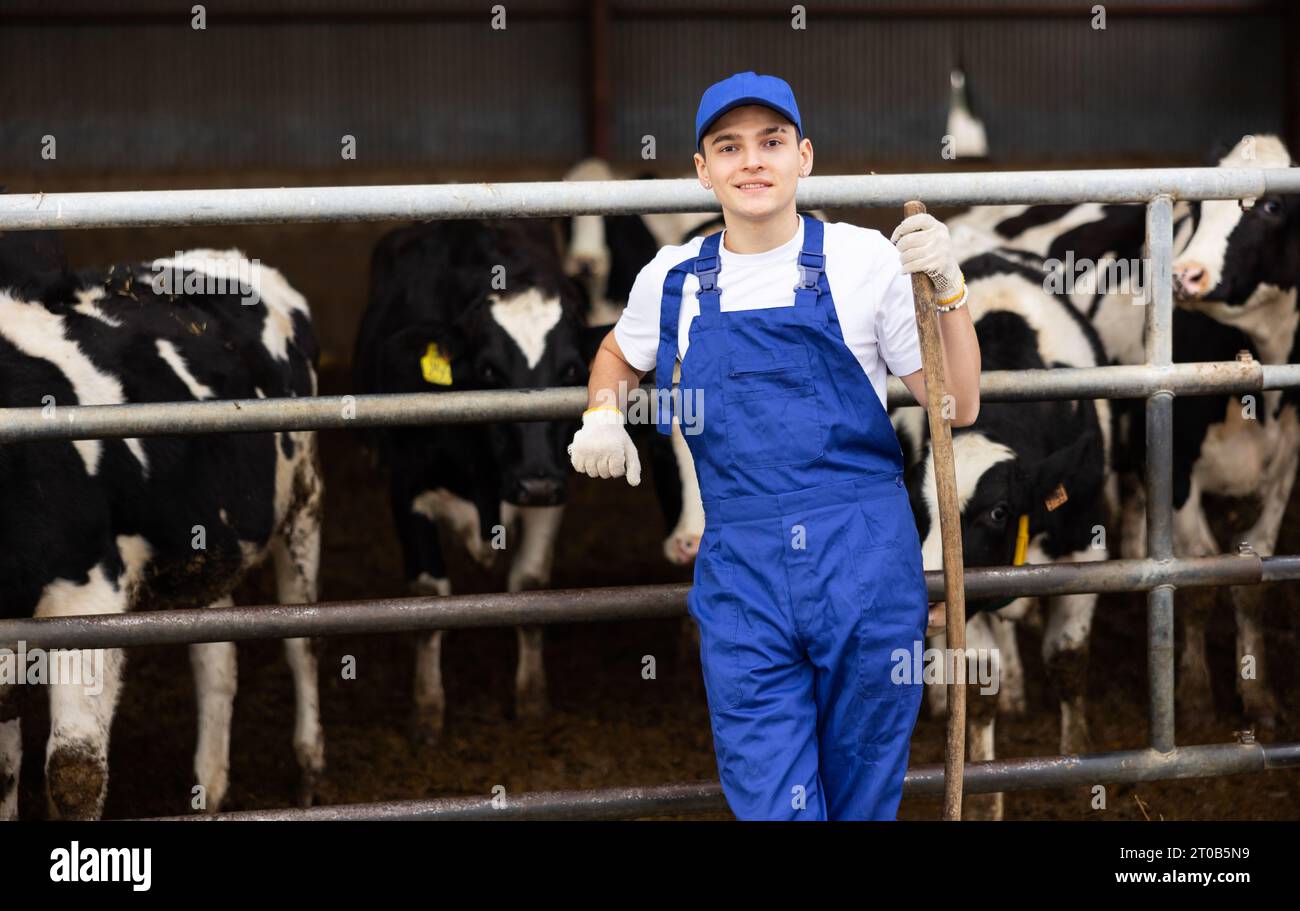 Young boy farmer posing while feeding cows at farm Stock Photo - Alamy