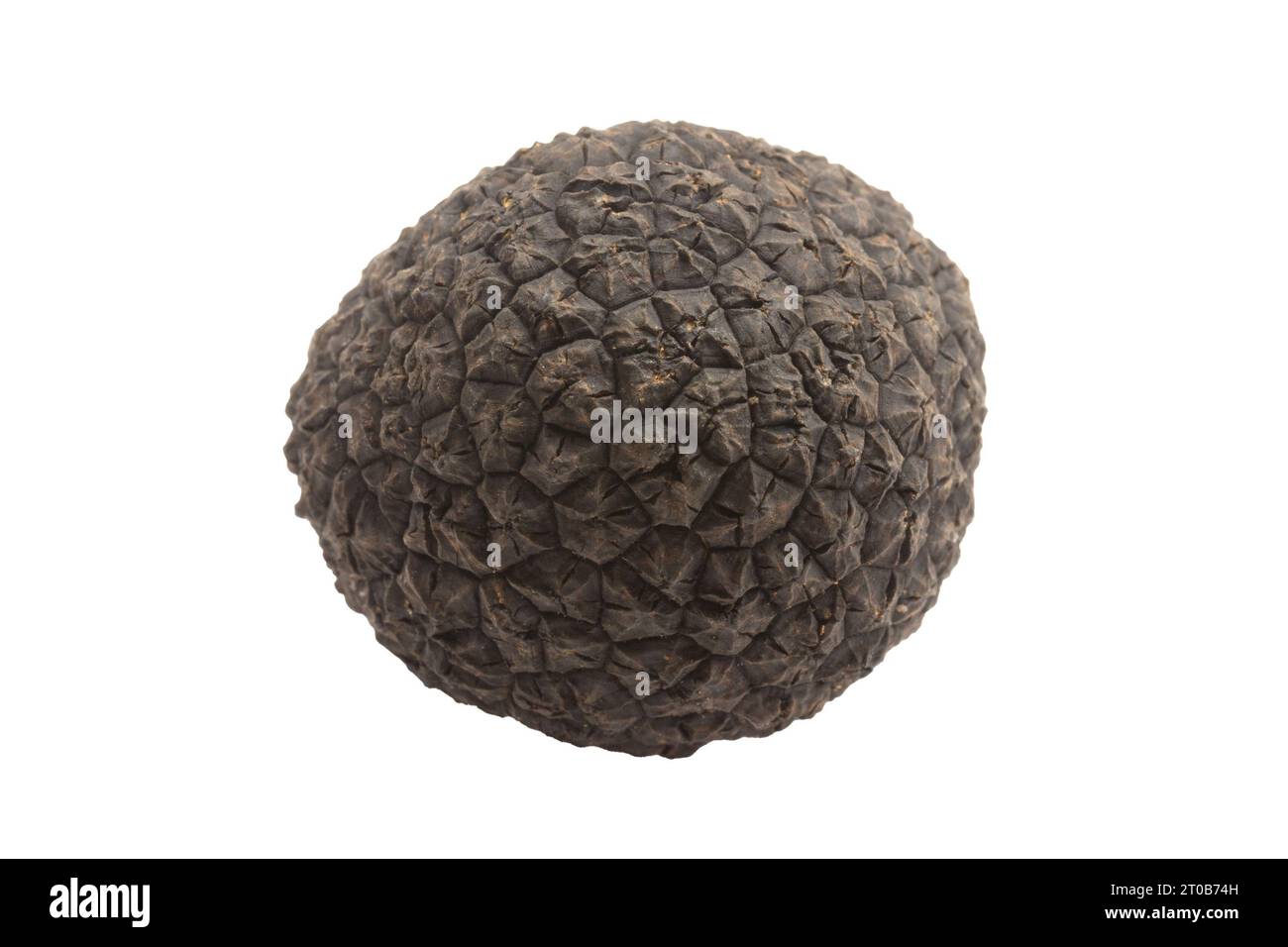 truffle, close-up, isolated on a white background Stock Photo - Alamy