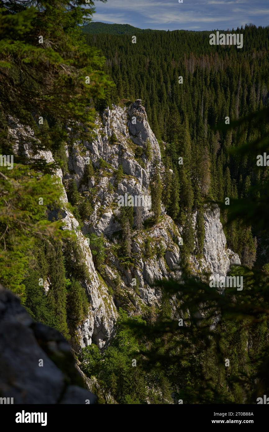 Scene mountains forests in thick hi-res stock photography and images ...