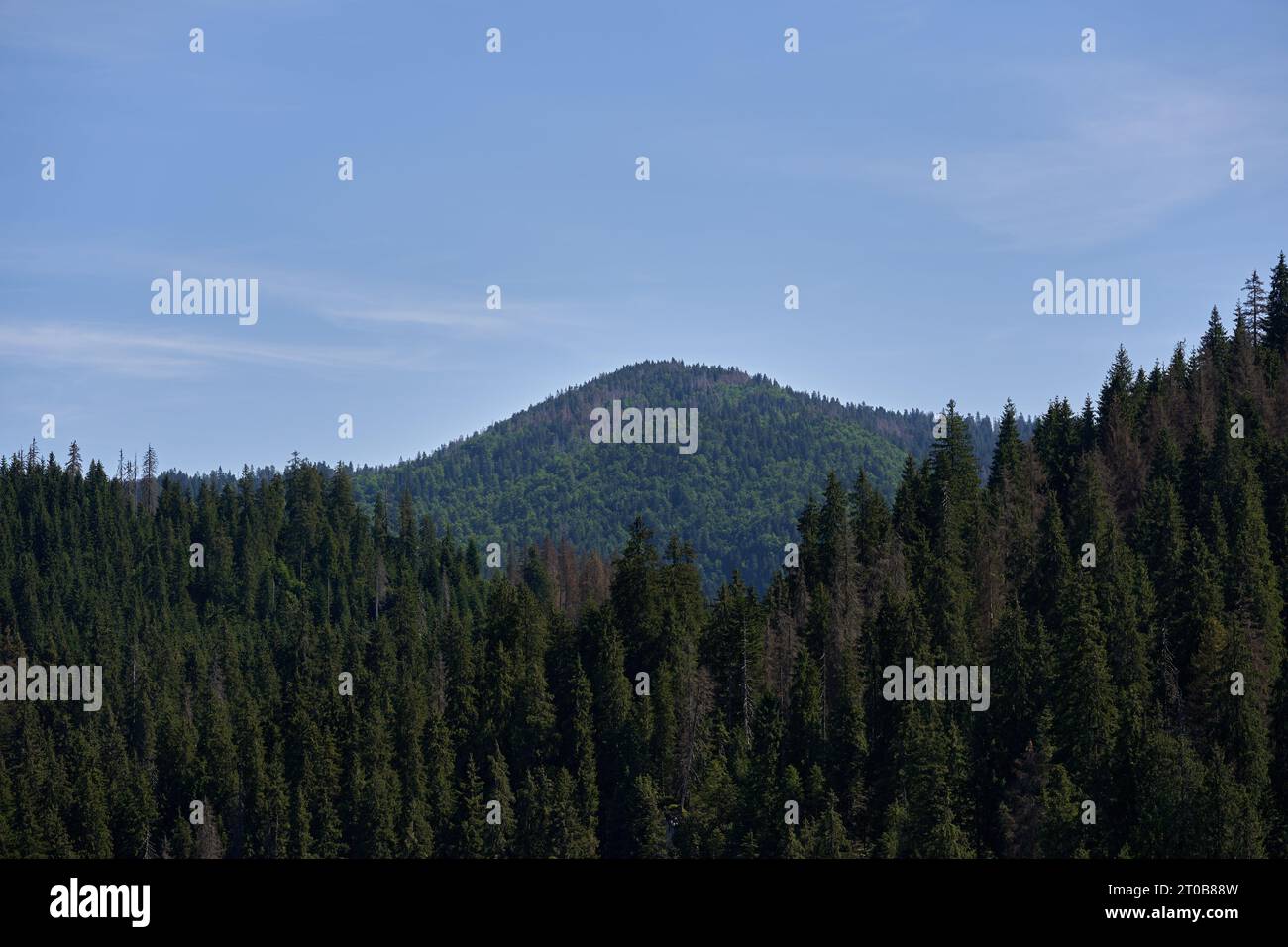 Scene mountains forests in thick hi-res stock photography and images ...