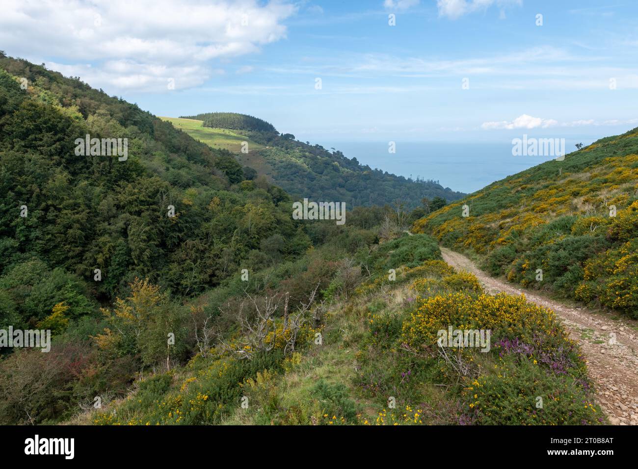 Photo of the footpath leading down to Glenthorne beach in Exmoor ...