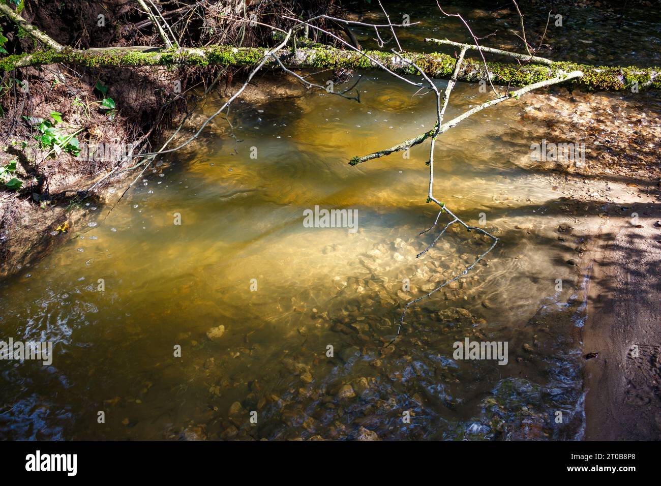 Shallow stream bed with rocky bottom Stock Photo - Alamy